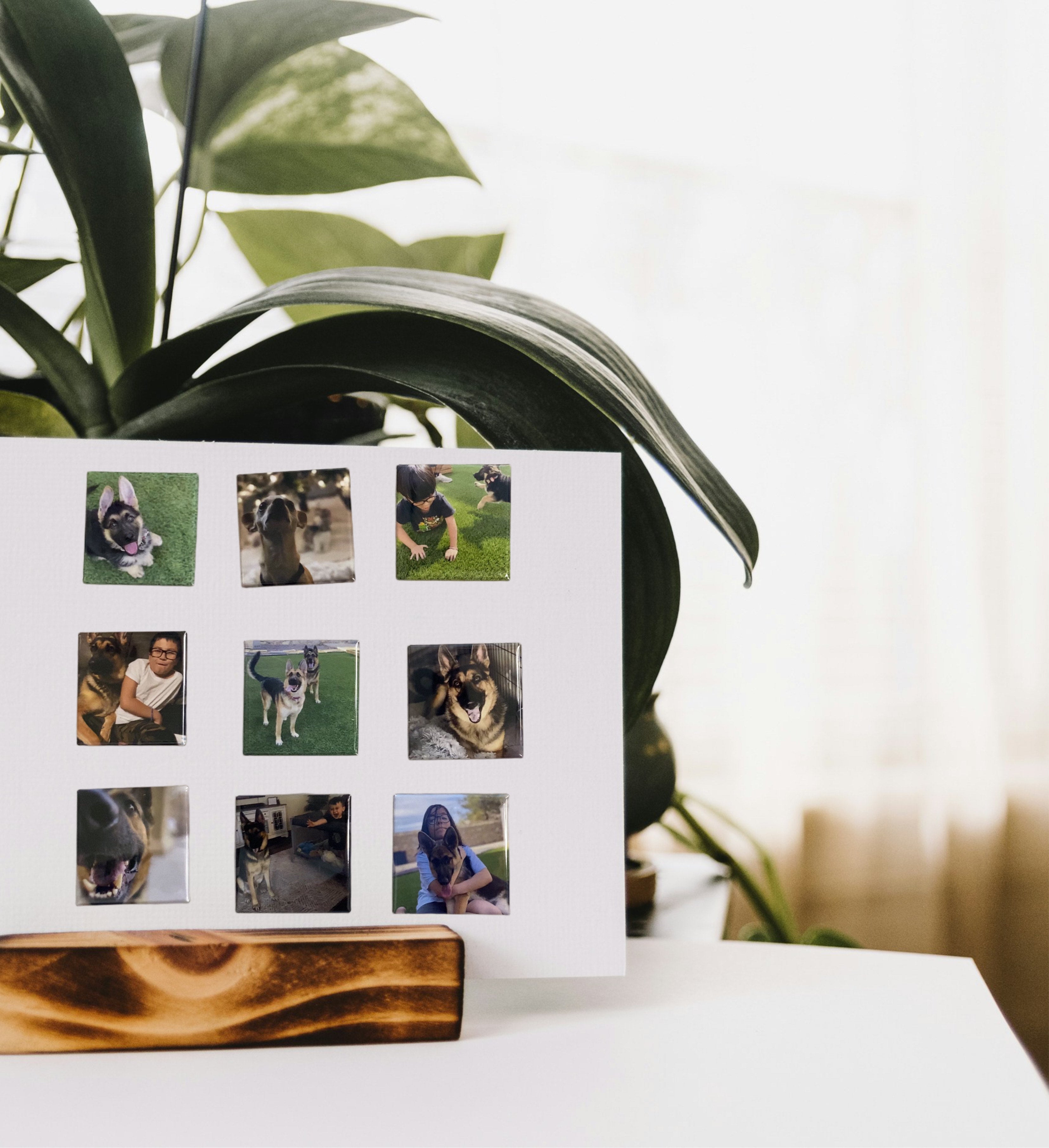 Personalized Photo Magnets: A Creative Way to Display Memories – Timeless Prints Ink.
