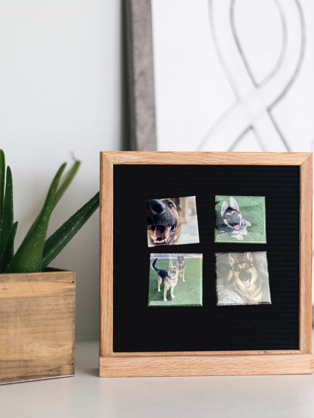 Timeless Prints Ink. – Timeless Prints Ink.